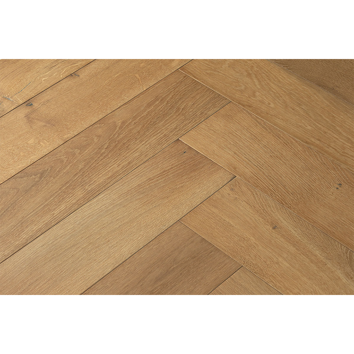Pavimenti in legno Forever 1919